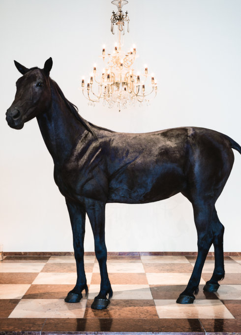 Christmas time in Vienna - Grand Ferdinand